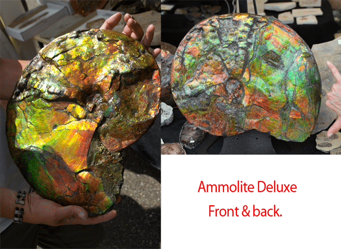 Ammolite – Antique Jewelry University