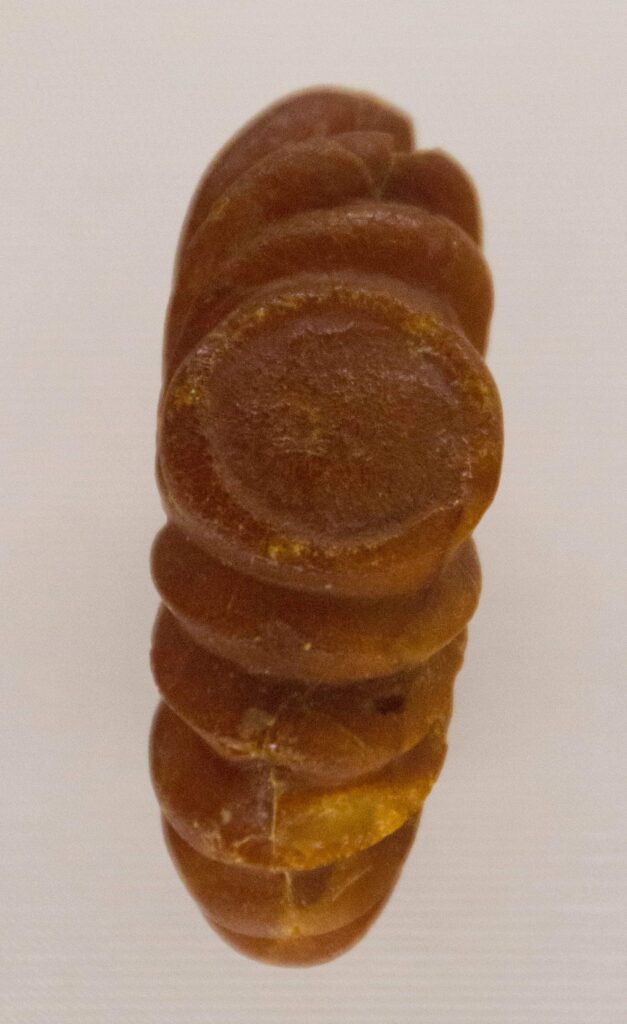 Roman_Amber_Ring – Antique Jewelry University